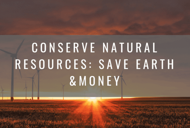 Conserve Natural Resources: Three Pillars to Save Earth and Money